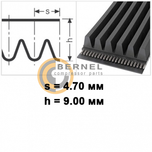 Bernel — pl14738, ремень pl1473-8 купить в один клик.