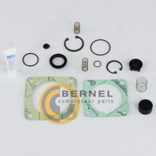 Bernel — Ремкомплект всасывающего клапана 2901029801, Original